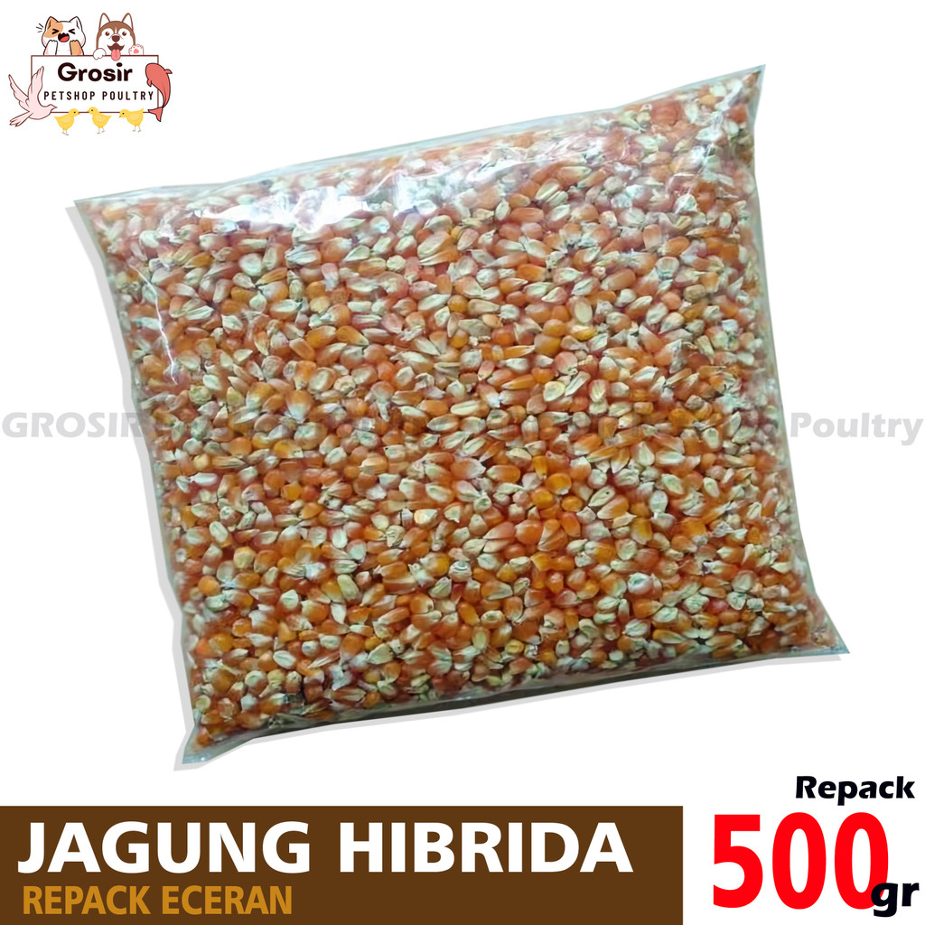 Hybrid corn poultry feed/chicken pigeon | Shopee Philippines