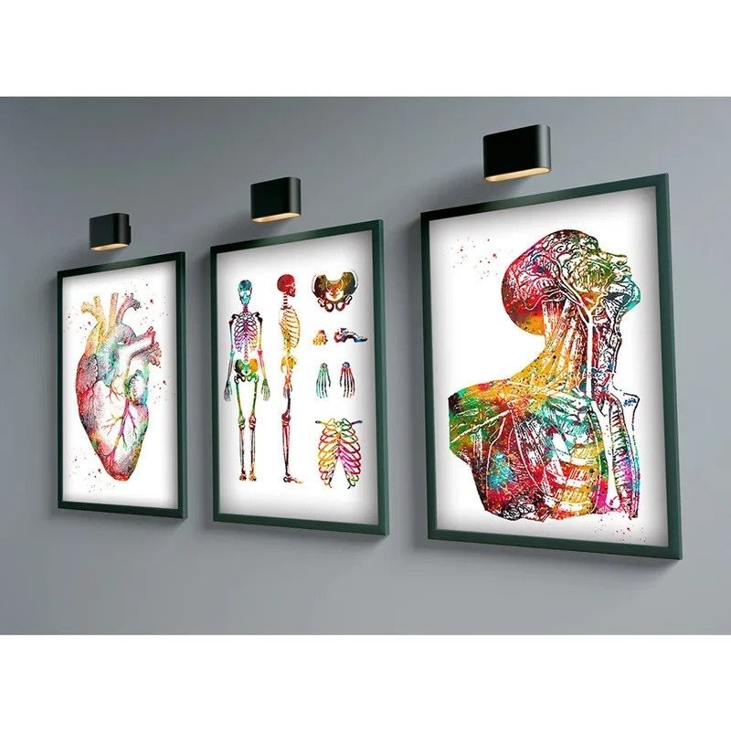 Human Anatomy Muscular System Watercolor Wall Art Canvas Painting ...