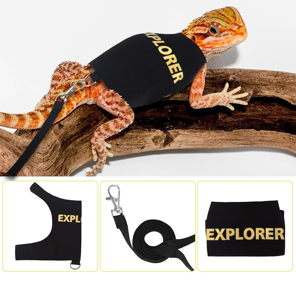 Adjustable Reptile Lizard Leash Harness for Walking Outdoor | Shopee ...