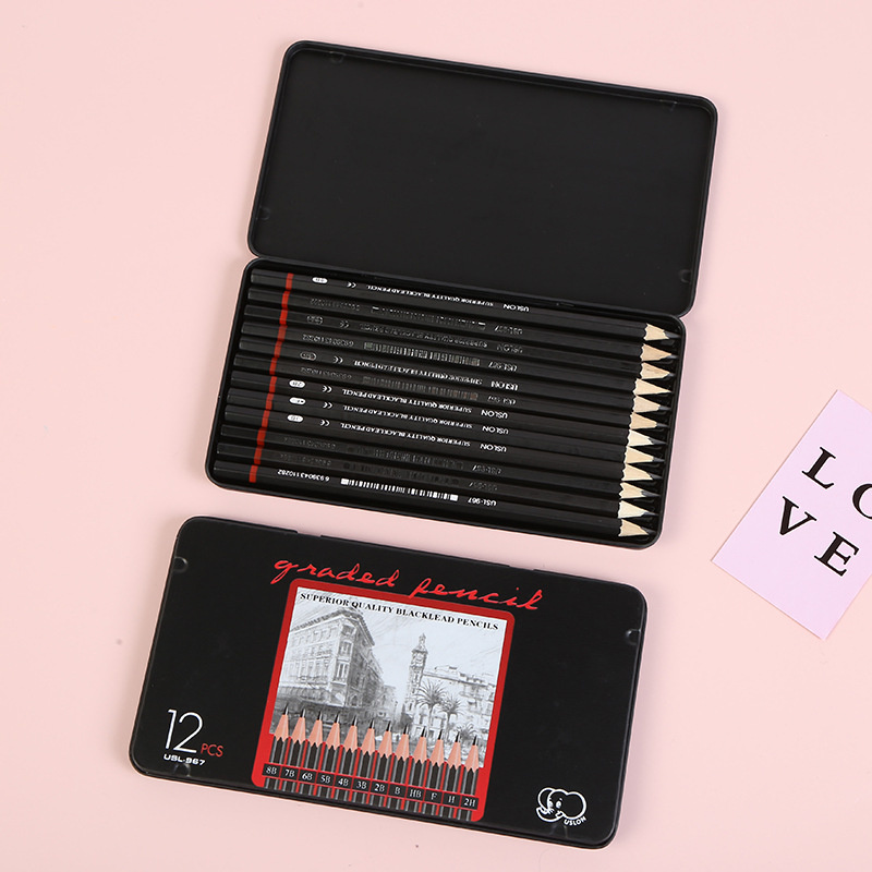 12pcs/set Art Drawing Pencil Box Sketching Pencil Set Drawing Learning ...