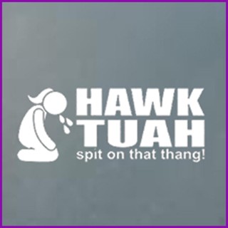 Funny Bumper Sticker Decal Hawk Tuah 24 Spit on That Thang Truck Window ...