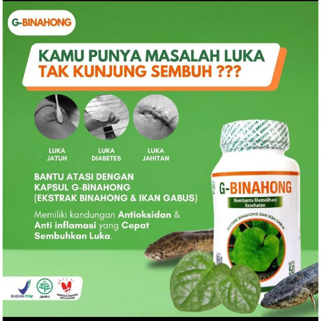 Binahong G Capsules binahong Capsules A Solution For Non-Drying Wounds ...