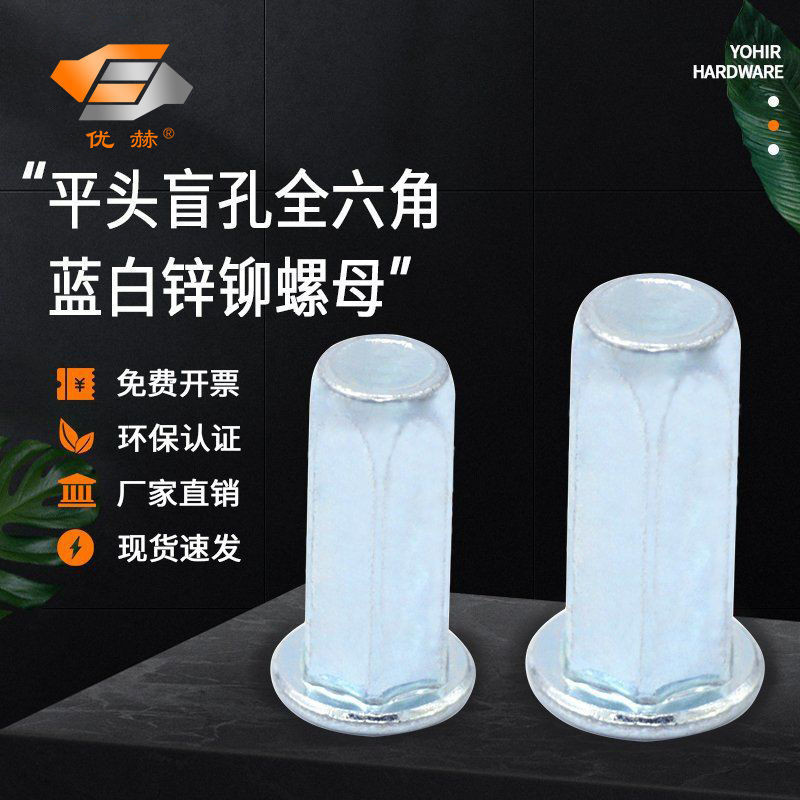 Flat Head Full Hexagonal Blind Hole Rivet Nut Large and Small Side ...