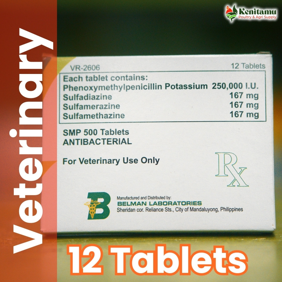 SMP 500 Antibacterial Tablets Box of 12 | Effective Broad-Spectrum ...