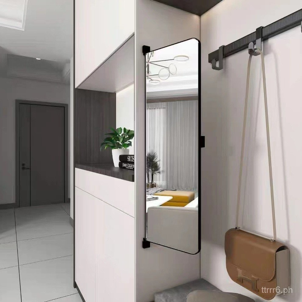 Vertical Hinged Door Dressing Mirror Home Wardrobe Built-in Invisible ...
