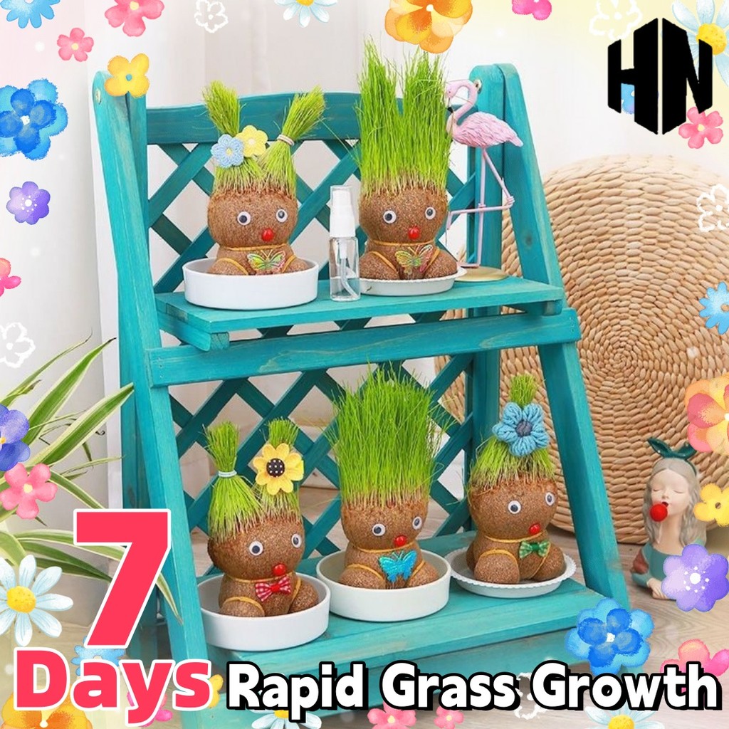Grass Head Room Decor Children Growing Grass Doll Toys Indoor Office ...
