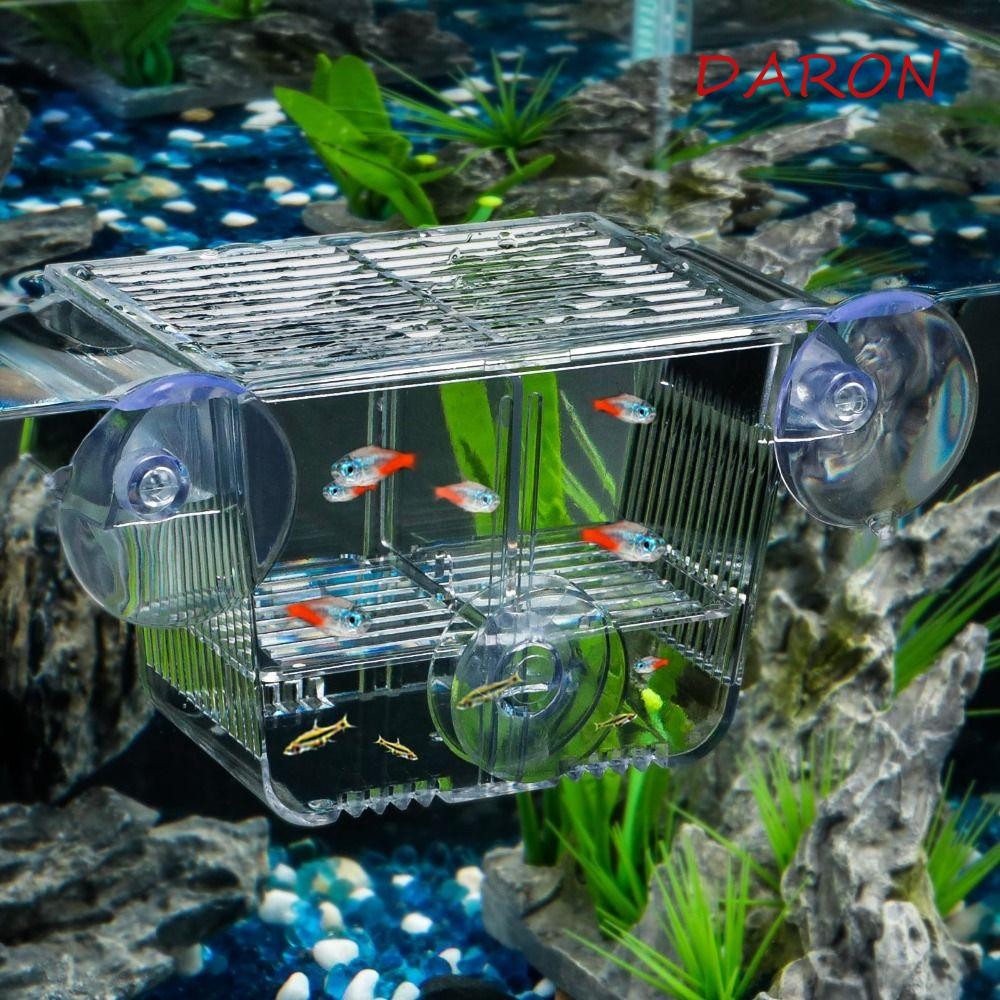 DARON Aquarium Breeder Box, Acrylic Portable Baby Fish Hatching ...