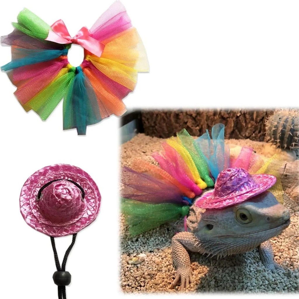 Lizard clothes for mane lion lizard layered rainbow tutu hat set ...