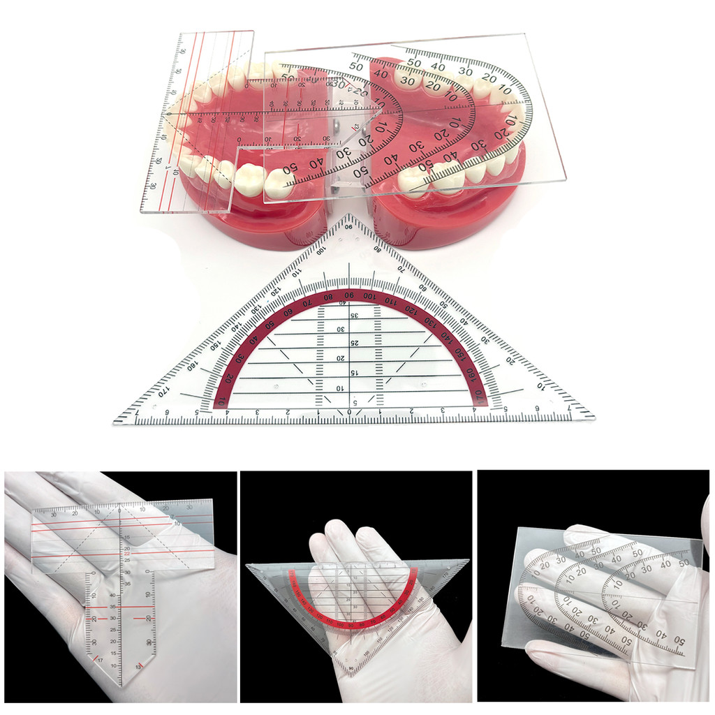 Dental Lab Guide Plate Teeth Arrangement On Denture Work Dental Teeth ...