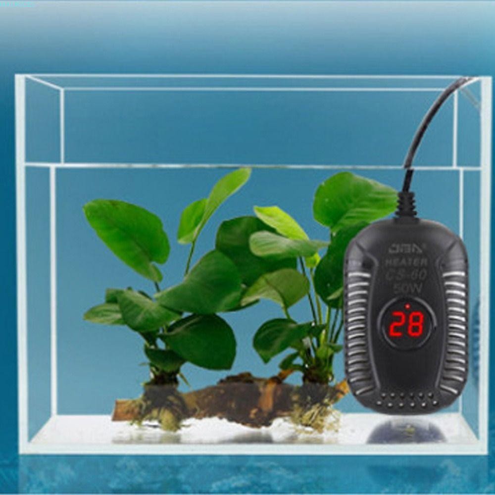 MAURICE1 Aquarium Submersible Heater, Quartz Glass Low Water Level ...