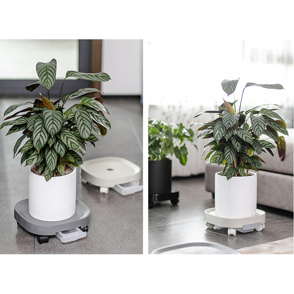 Plant Stand With Wheels Flower Pot Base Tray 24cm / 27cm Drawer Type ...