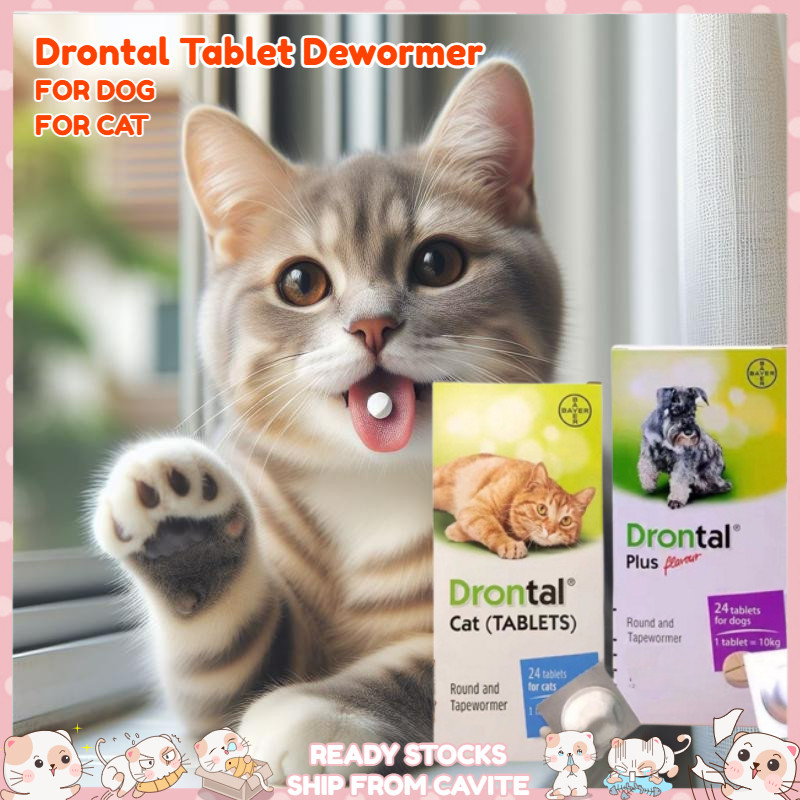 Drontal Plus 1PC Tablet Tasty Dewormer Tablets for Dogs for Cats Buy 3 ...