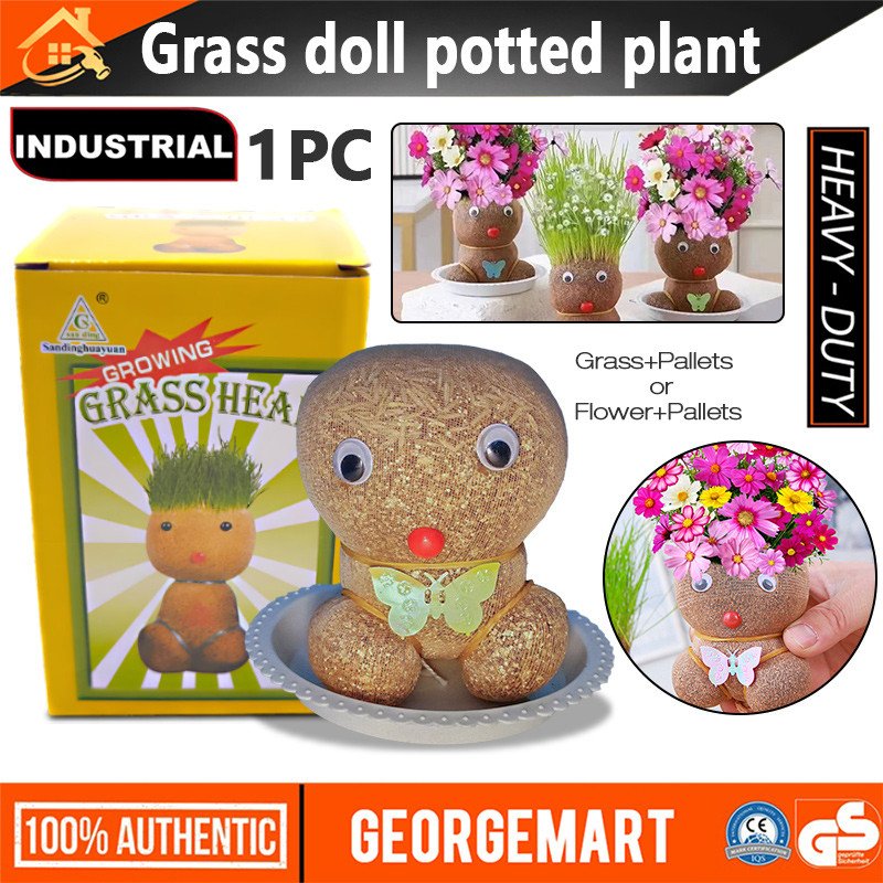 grass heads doll Toys Room Decor Children Growing Office Table Plant ...