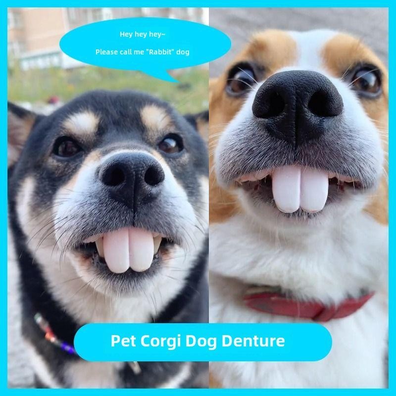 Rabbit Teeth Dog Toy Funny Funny Dentures Teeth Trick Spoof Teeth Big ...