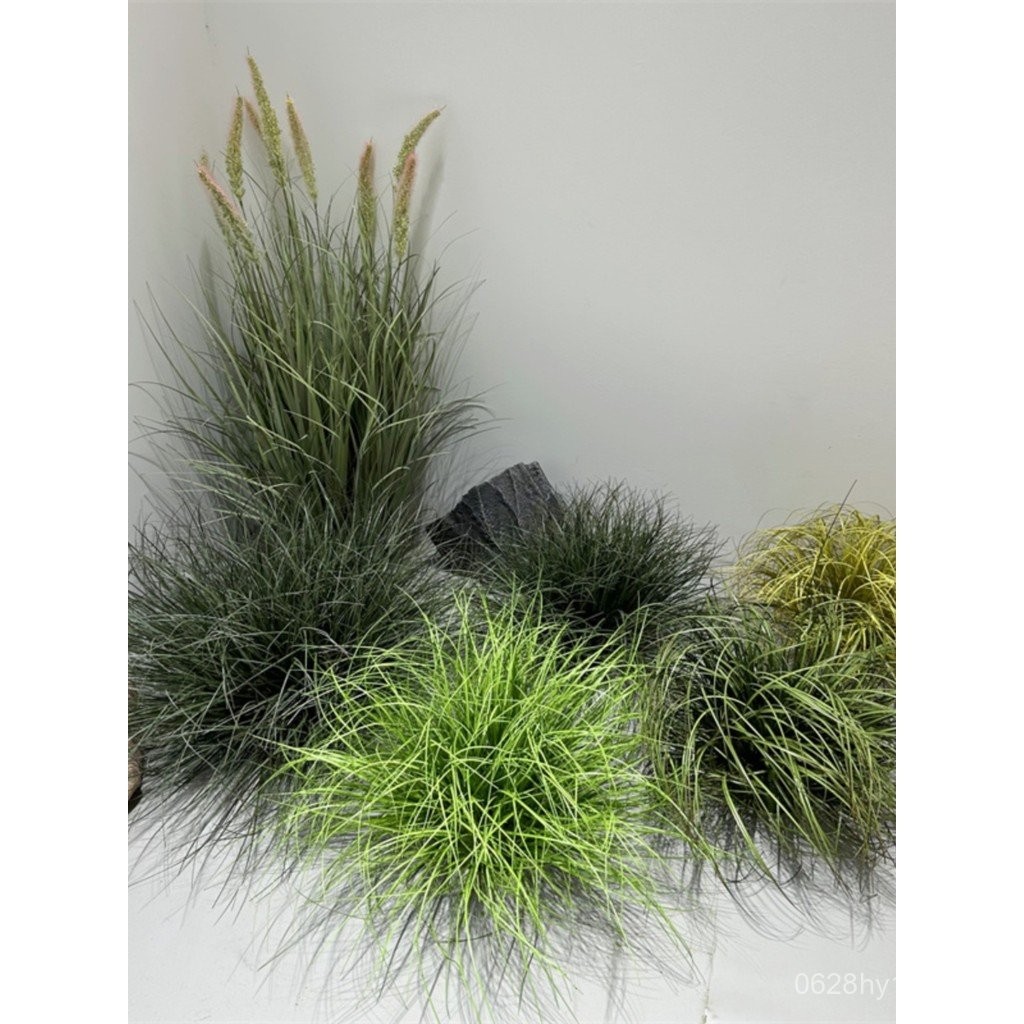 Pampas Grass Plant Grassland Landscaping Plastic Artificial Fake Dog ...