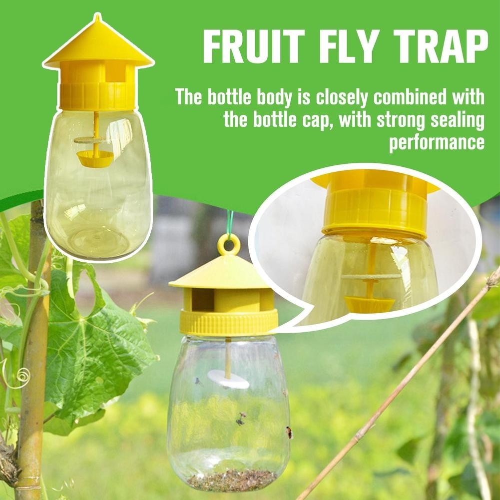 Fruit Insect/Flies Farm Trap Fruit Fly Trap New Four Holes Latest ...