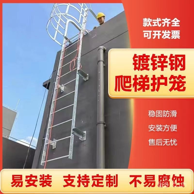 Illustrated Guide to Direct Guard Cage Steel Ladder15J401Zhongnan ...