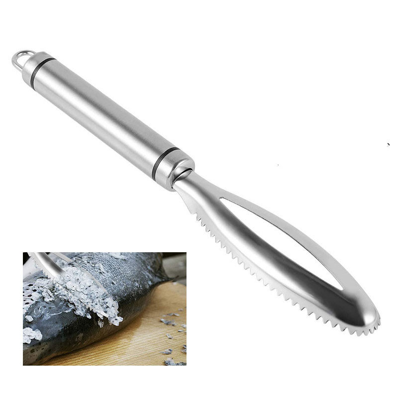 Fish Scaler Brush – Stainless Steel Sawtooth Remover for Easy Fish ...