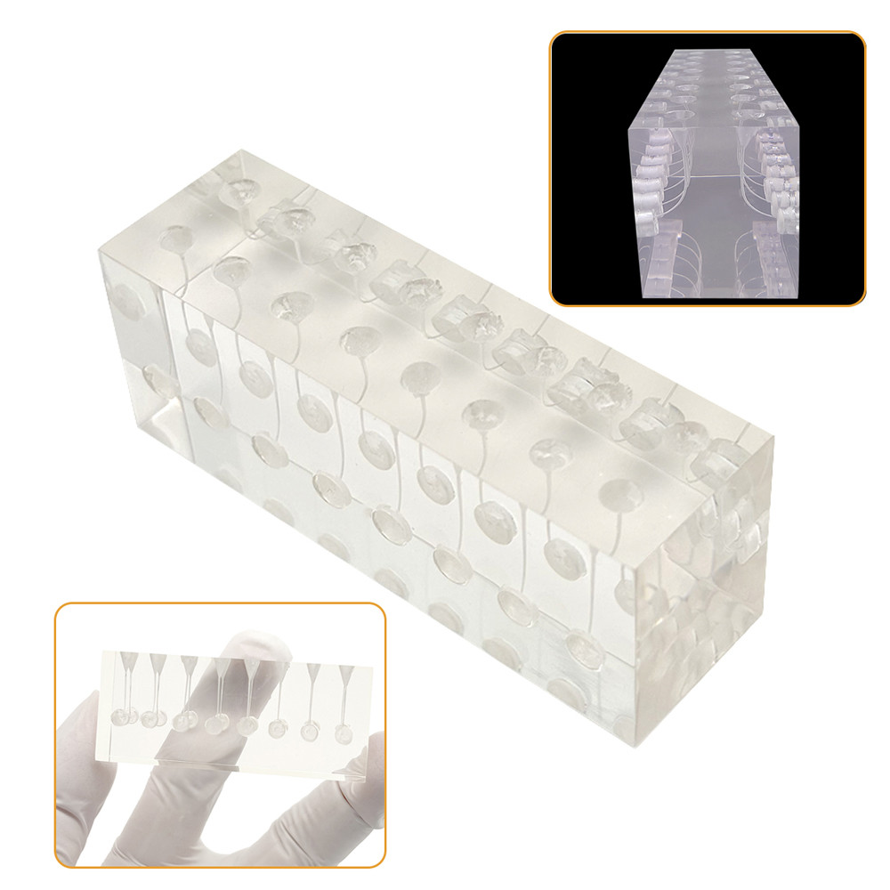 16 Hole Dental Education Study Model Endo Root Blocks Resin Study Pulp ...