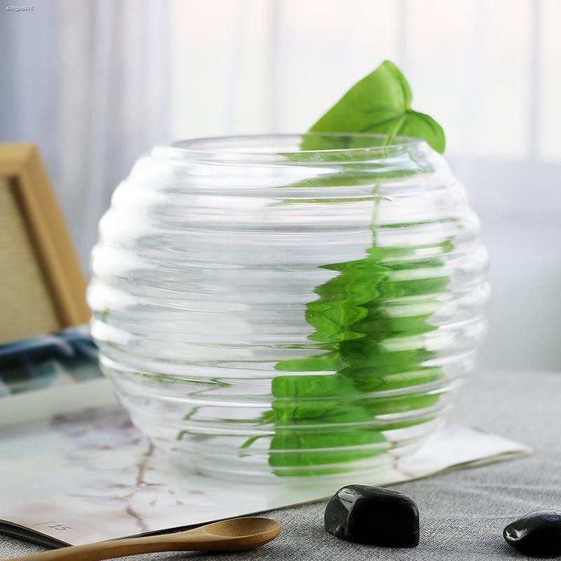 COD☆COD☆Hydroponic plant glass bottle | Shopee Philippines