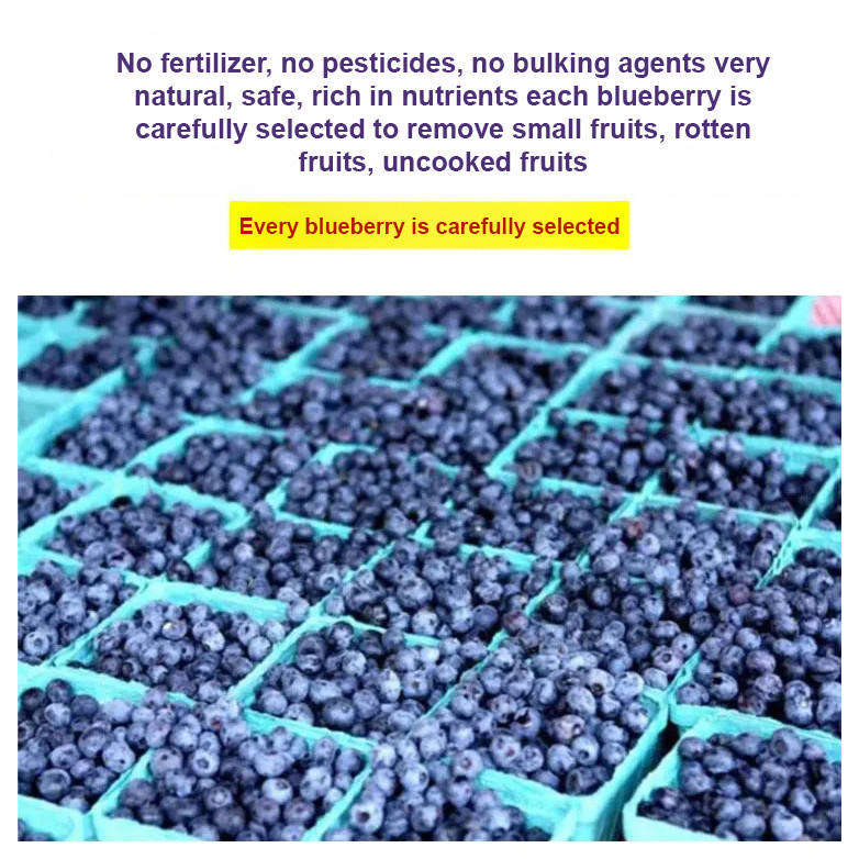 Northeast dried blueberries small packages | Shopee Philippines