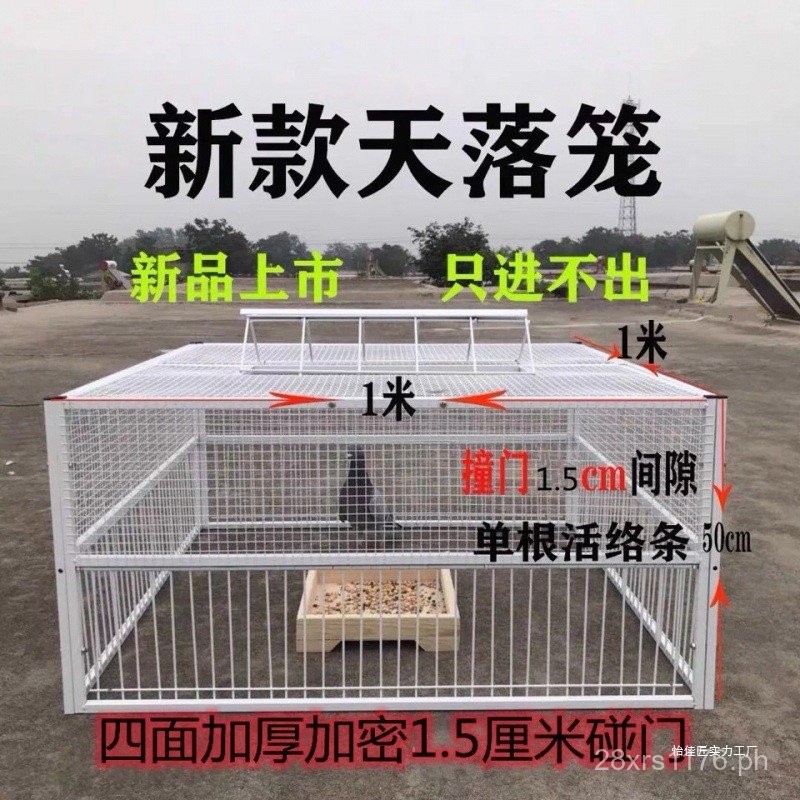 Pigeon Cage with Door, Pigeon Cage for Breeding, One-Way Door, Jumping ...