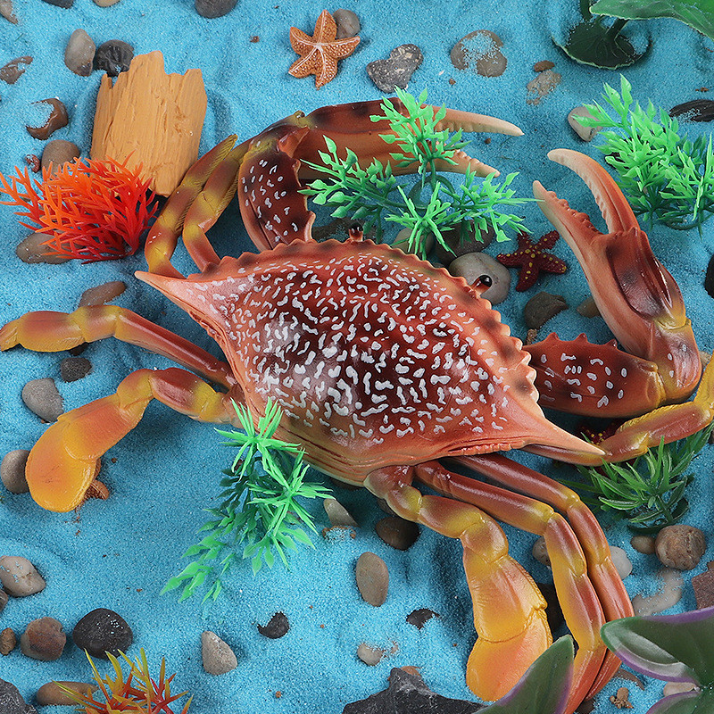 Educational Cognitive Simulation Large Crab Model, Hermit Crab Toy ...