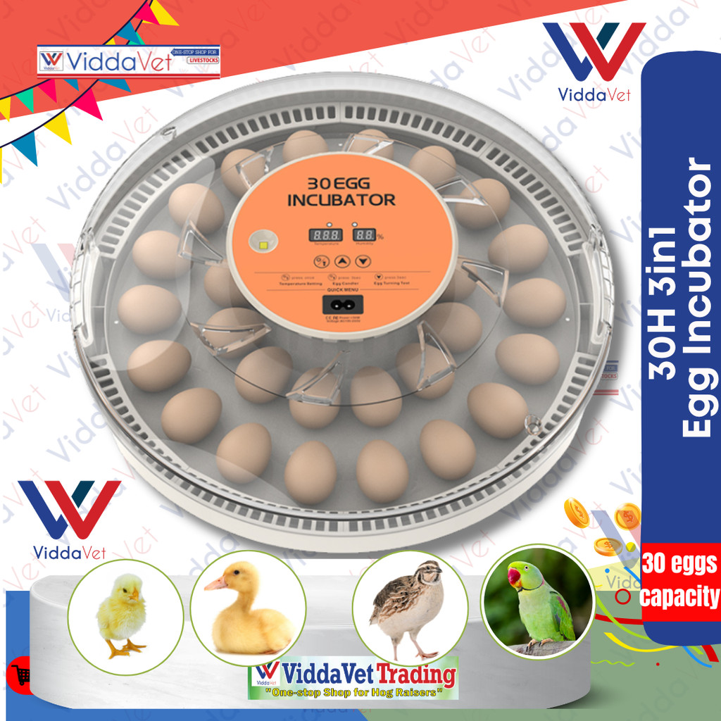 3in1 30H Egg Incubators with Automatic Egg Turning and Humidity Display ...