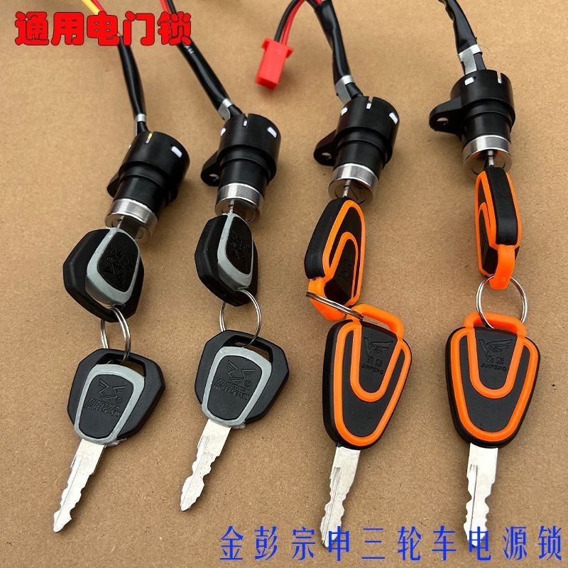 Zongshen Jinpeng Electric Tricycle New Energy Prince Head Electric Door ...