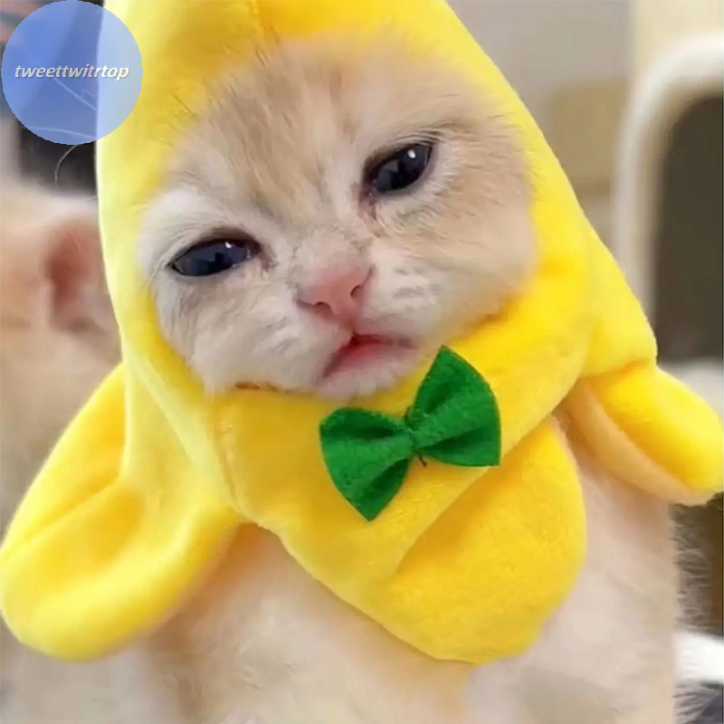TRTOP Banana Cat Head Cover Creative Cute Cats Pet Headwear Plush Cats ...