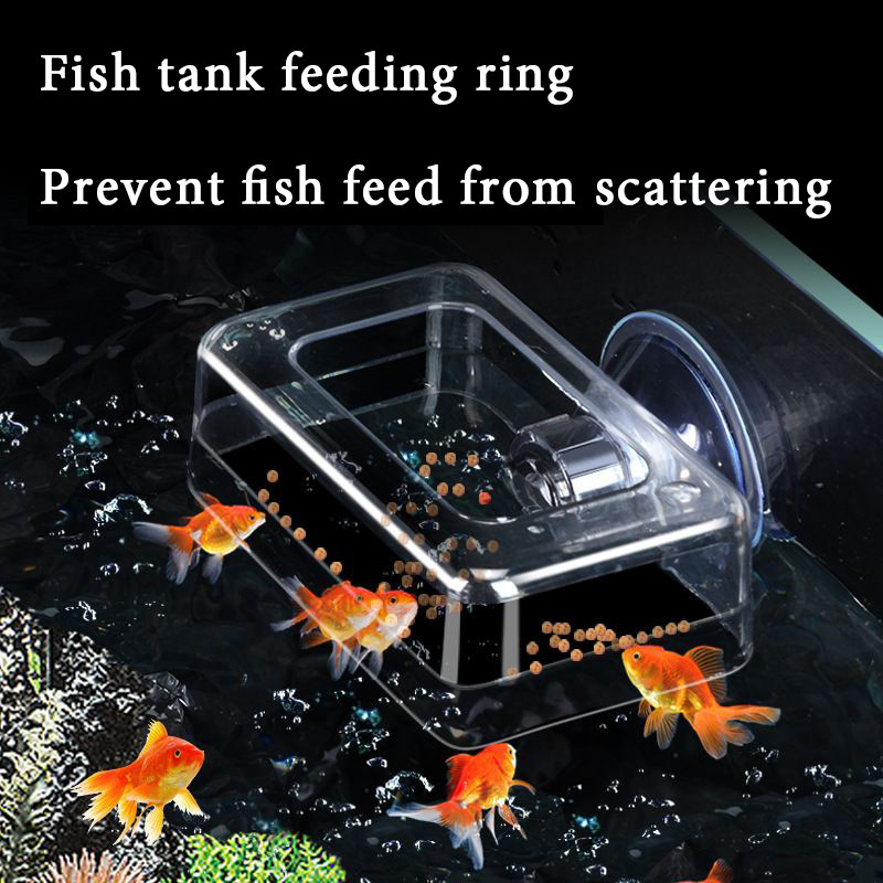 Fish Tank Feeder/Prevent Fish Feed Floating Suspended Fixed Fish Feeder ...