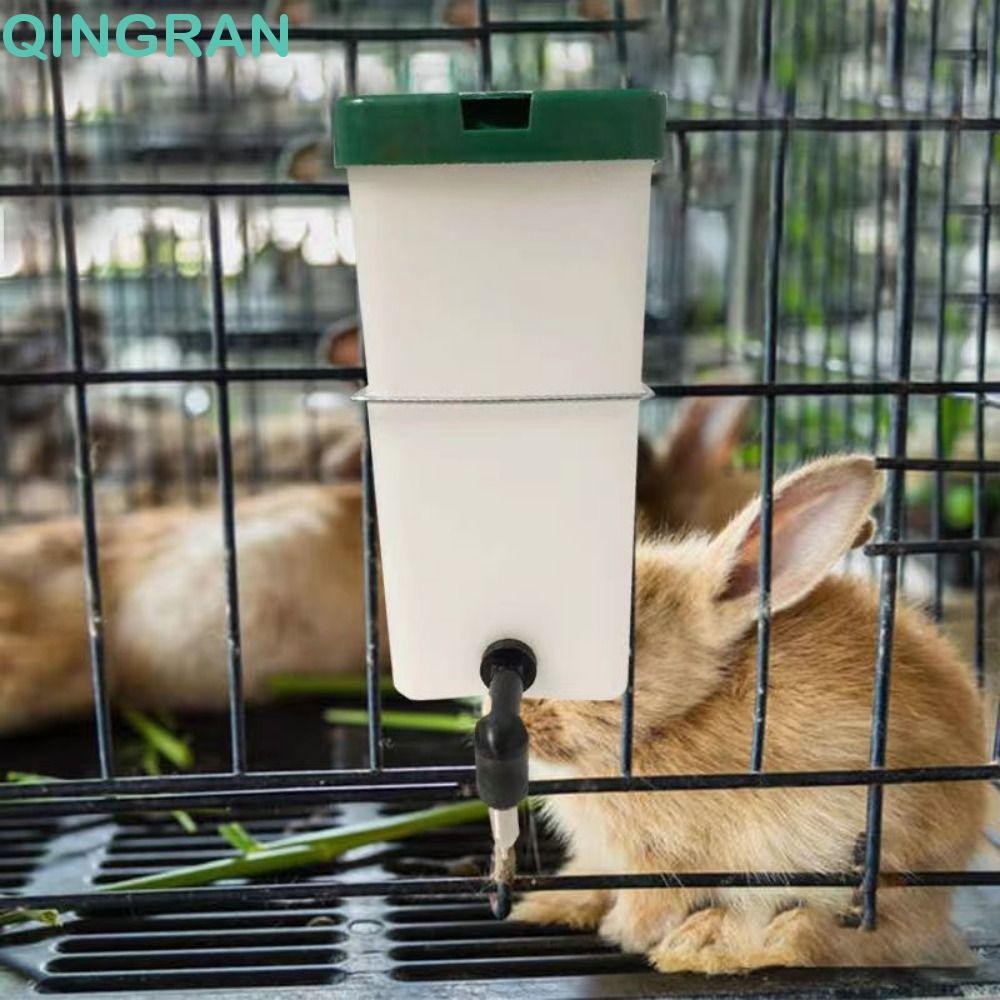 QINGRAN Rabbit Water Dispenser, 1L/500ML Plastic Pet Hanging Feeder ...