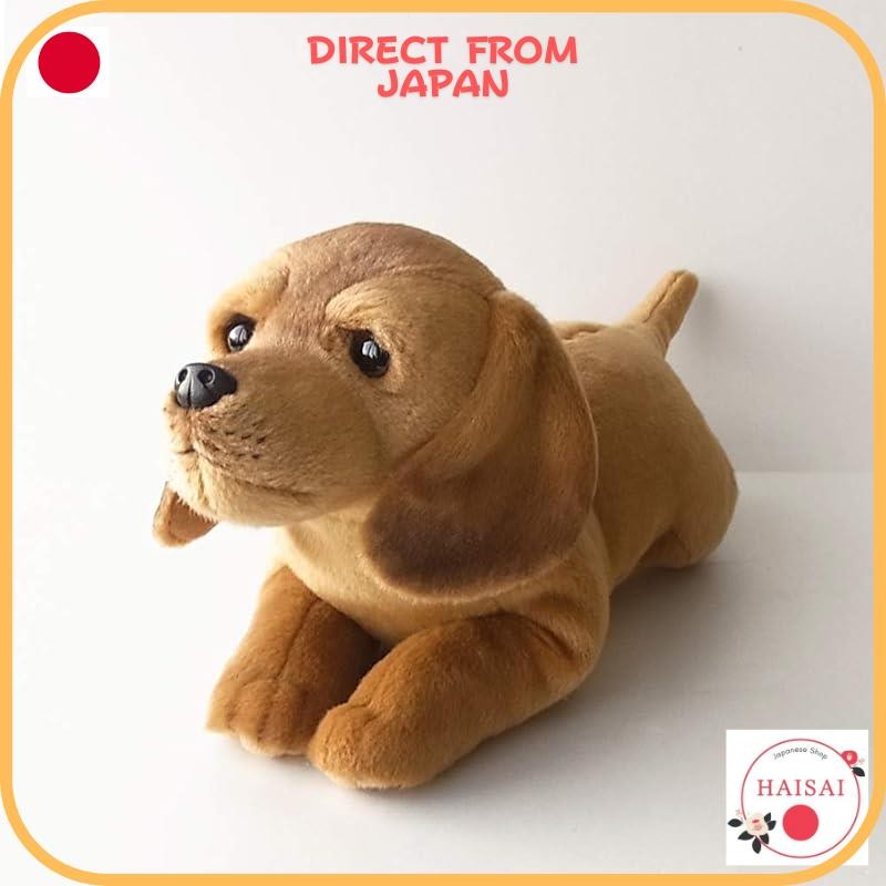 [Direct From Japan]Stuffed Animal Real Dog, Niniandokino Stuffed Animal ...