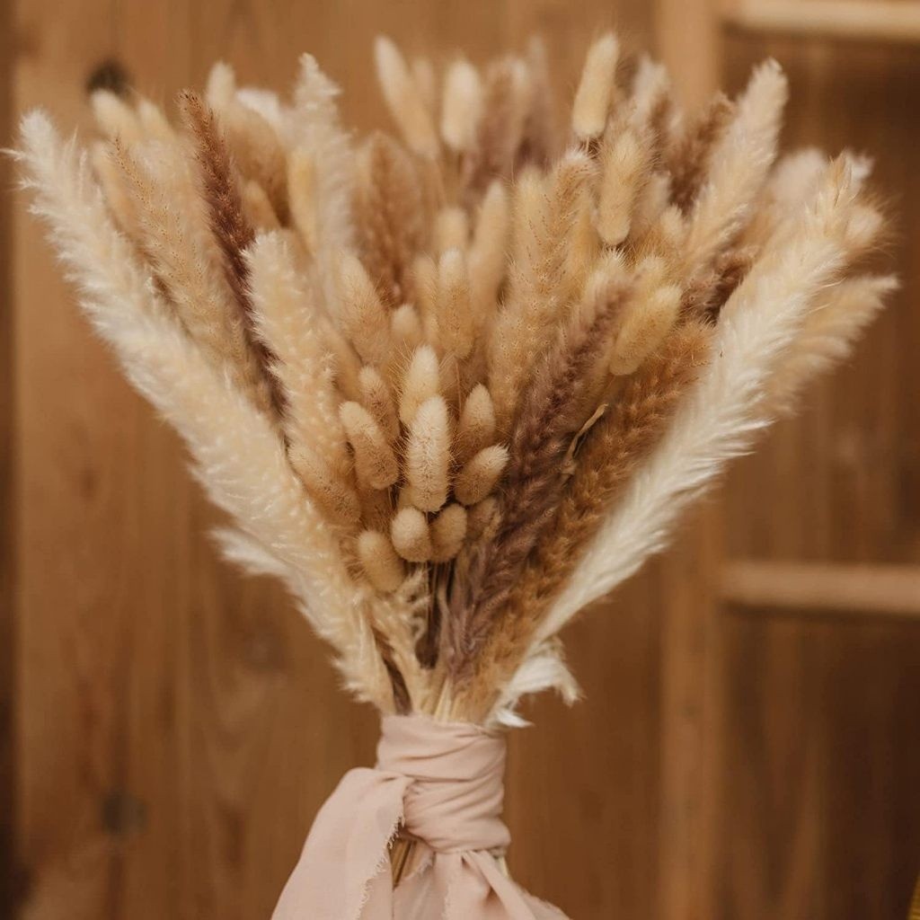 1stem Dried Pampas Grass Decor Boho Dried Flowers Fluffy Pompous Reed ...