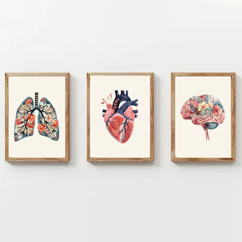 Human Anatomy Floral Heart, Brain, Lungs Medical Education Poster and ...