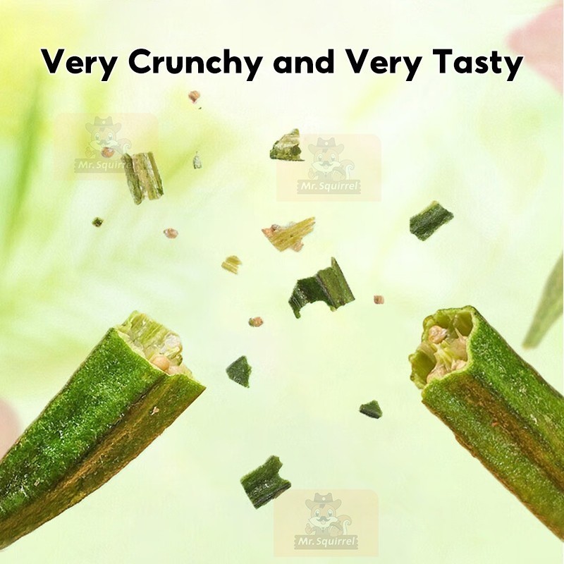 Mr Squirrel Vegetable Chips 12 in1 Dried Fruits and Vegetables Chips ...