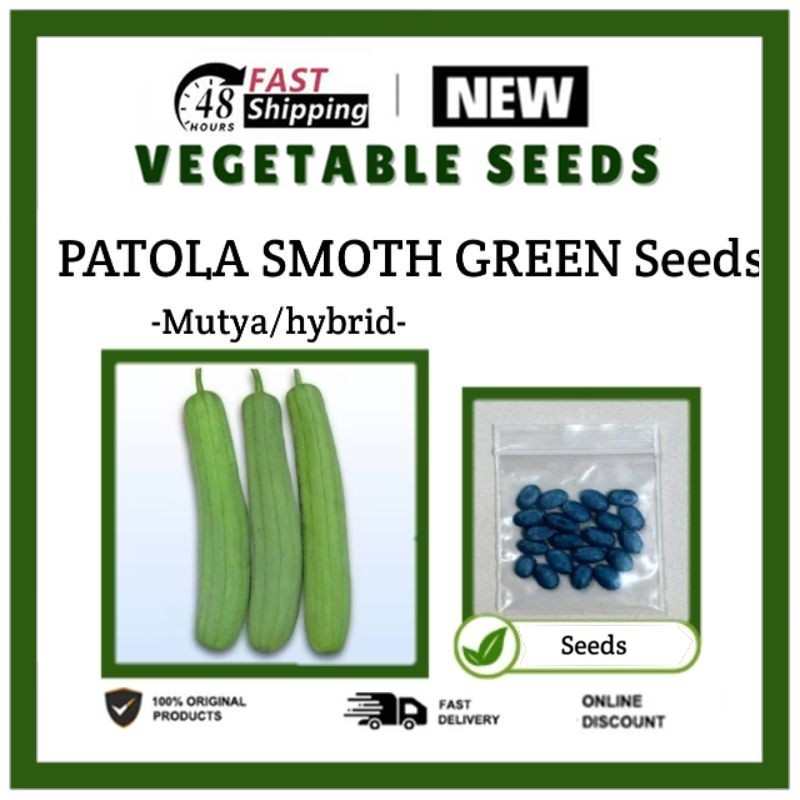 PATOLA HYBRID Seeds (Smooth Green/Mutya F1) High quality Vegetable ...