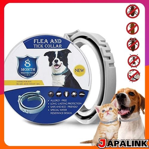 Flea Collar for Dogs and Cats, Flea and Tick Prevention, Mosquito ...