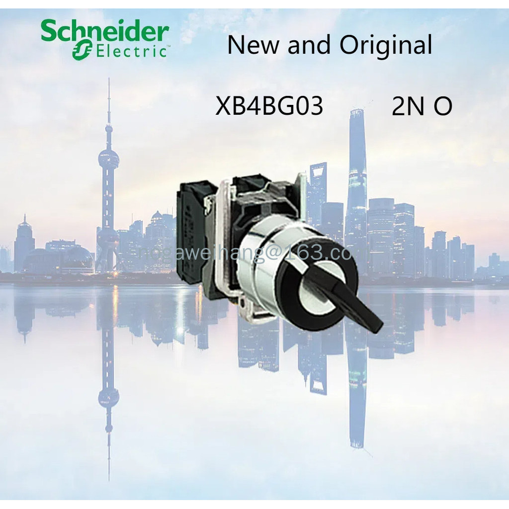 Schneider XB4BG03 Key switch 3-position lock 2NO（new original) | Shopee Philippines