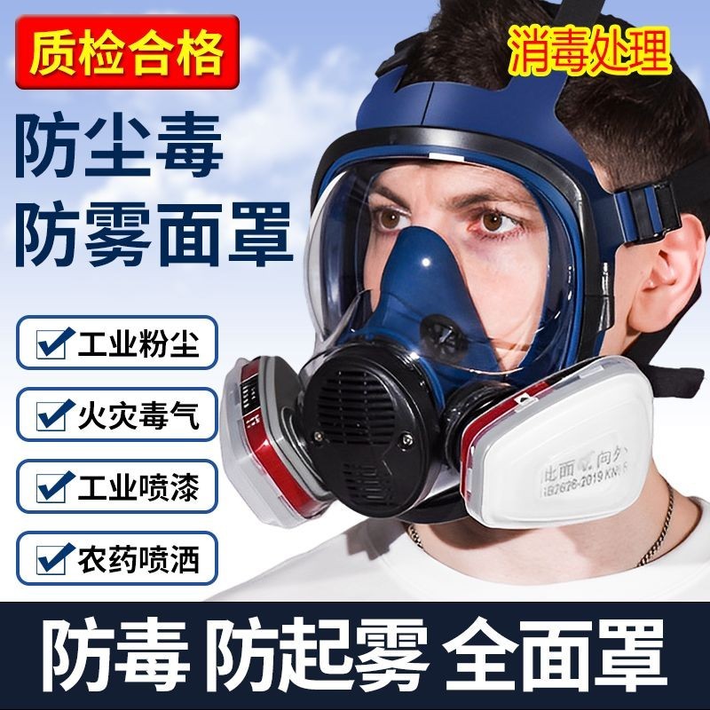 Gas Mask Full Face Mask Spray Paint Chemical Formaldehyde Dust-Proof ...