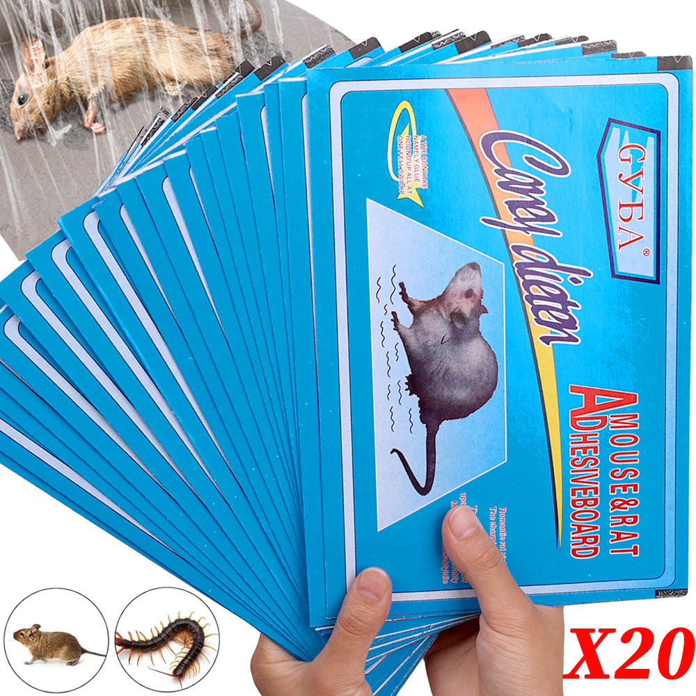 5/10/20Pcs Mouse Glue Traps / Pest Control Mouse Traps / Rat Insect ...