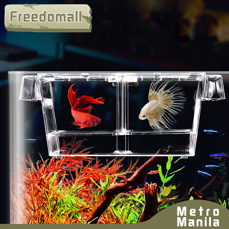 Fish Hatching Box Fish Tank Guppy Double Breeding Rearing Box Self ...