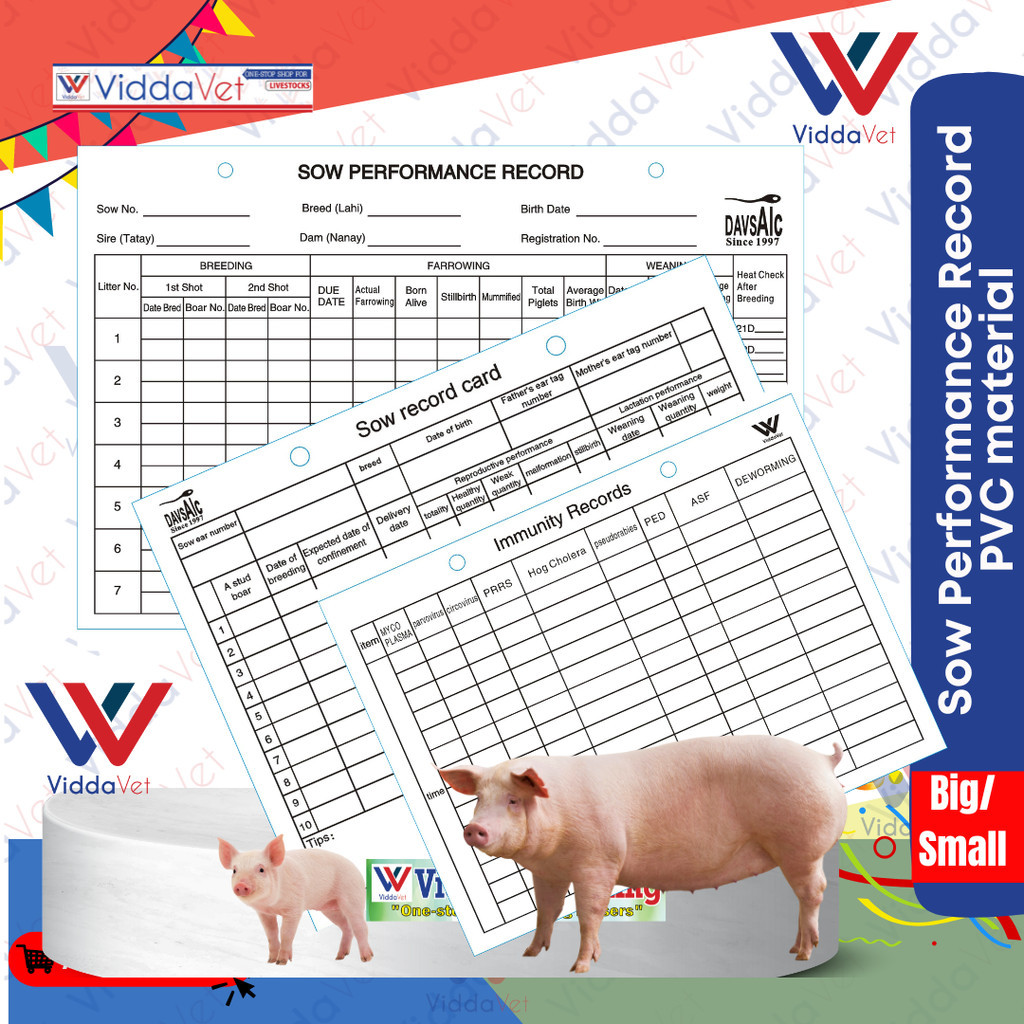 Viddavet Sow Performance Card PVC material Sow Identification Breeding ...