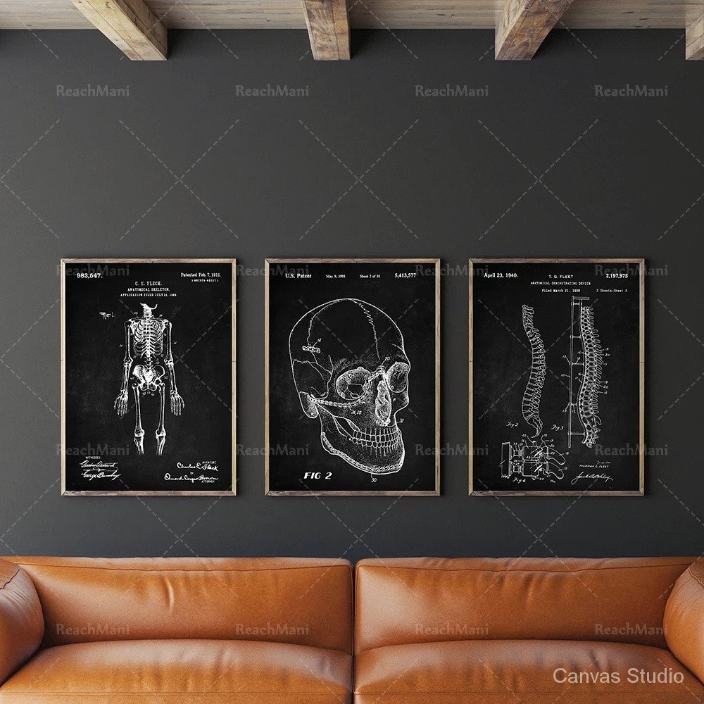 Anatomical patent poster 3 piece set, skeleton poster, hospital ...