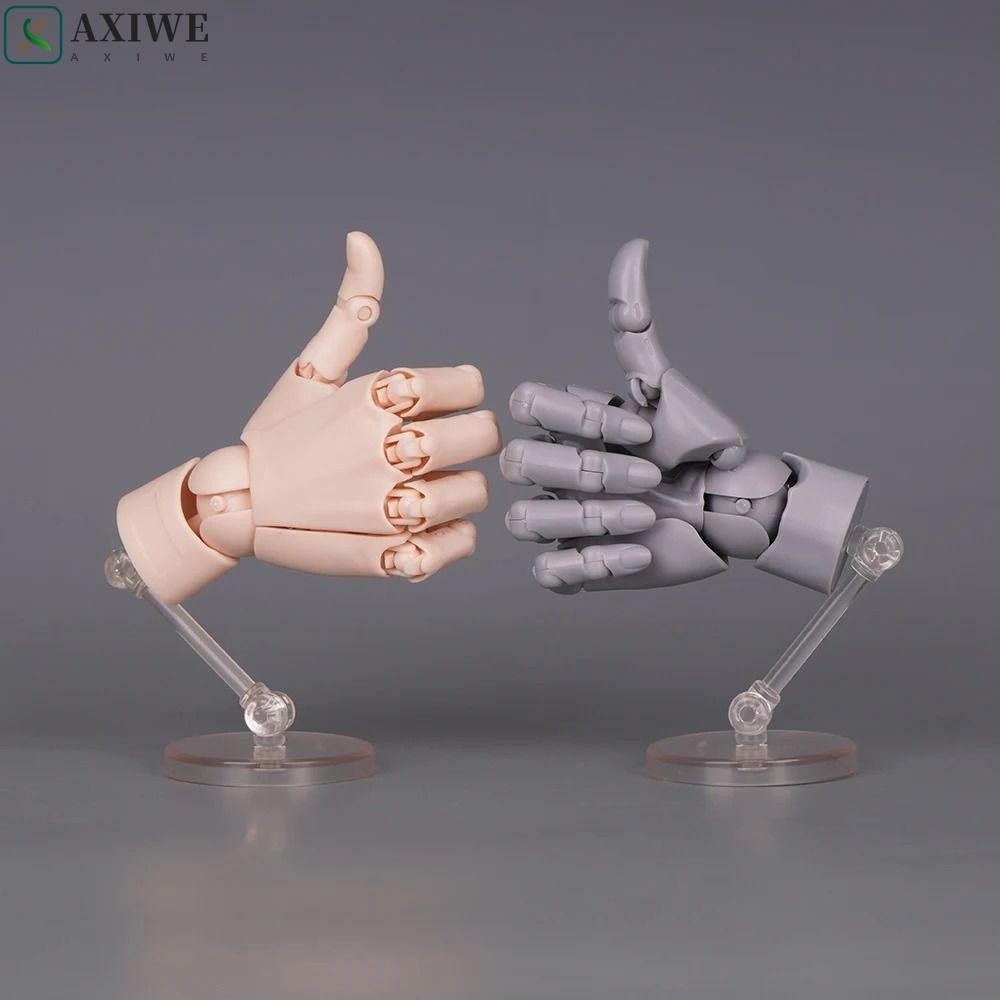 AXIWE Hand Joint Movable Model, Plastic Right Hand Simulation Hand ...