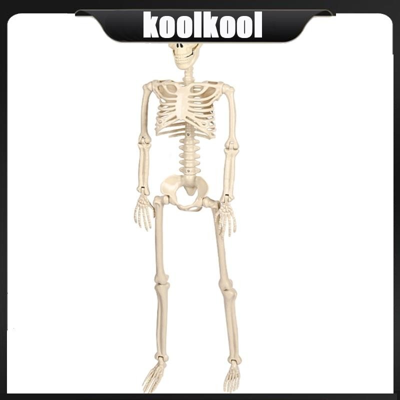 KOOK Life Size Poseable Skeleton Halloween Decoration Full Human Body ...