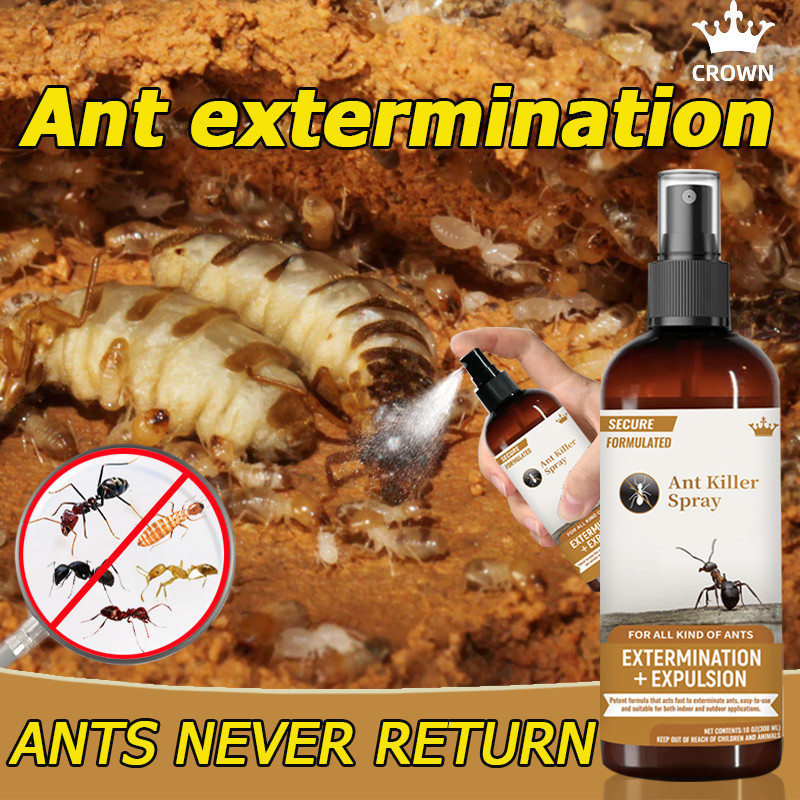 300ML Ant Spray Killer Odorless Insect Killer Insecticide Spray Anay ...