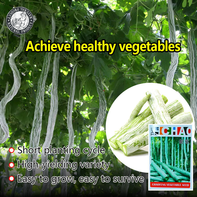 Long Chinese Snake Gourd Seed (5 Seed) Giant Long Variety Python Snake ...