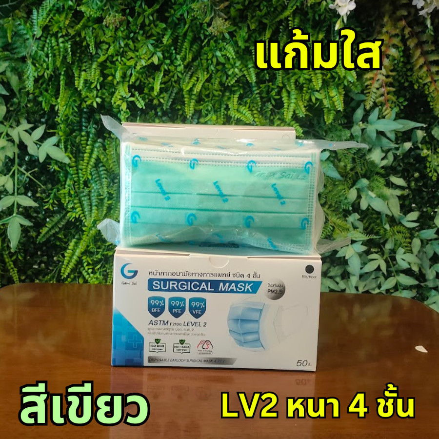 ! Gamsai Formal Paste Mass Clear Cheek LV2 Transparent 4 Ply LV2 3 LV1 KF Mask | Shopee Philippines