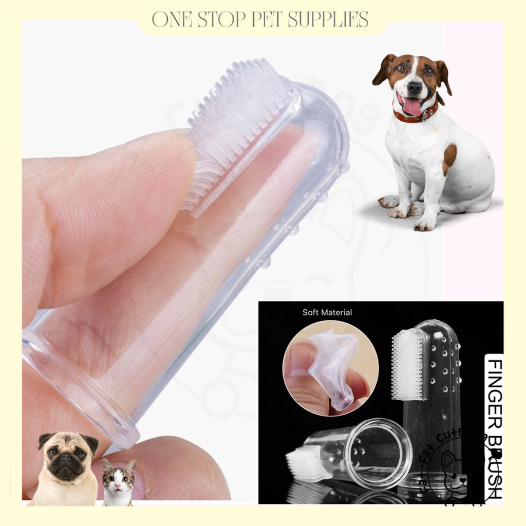Pet Tooth Finger Brush Toothbrush For Dogs/Cats | Shopee Philippines